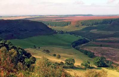 Stuart Hall | Mallorca Cycling Holidays